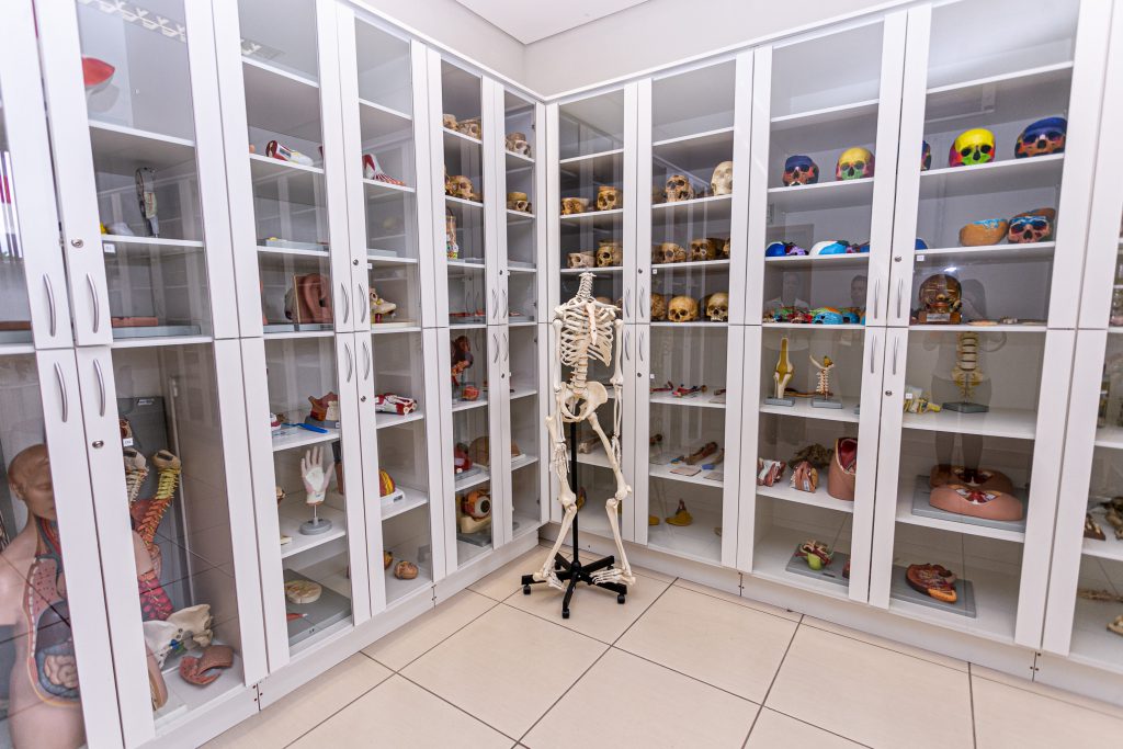 Laboratórios de Anatomia Humana - Uningá