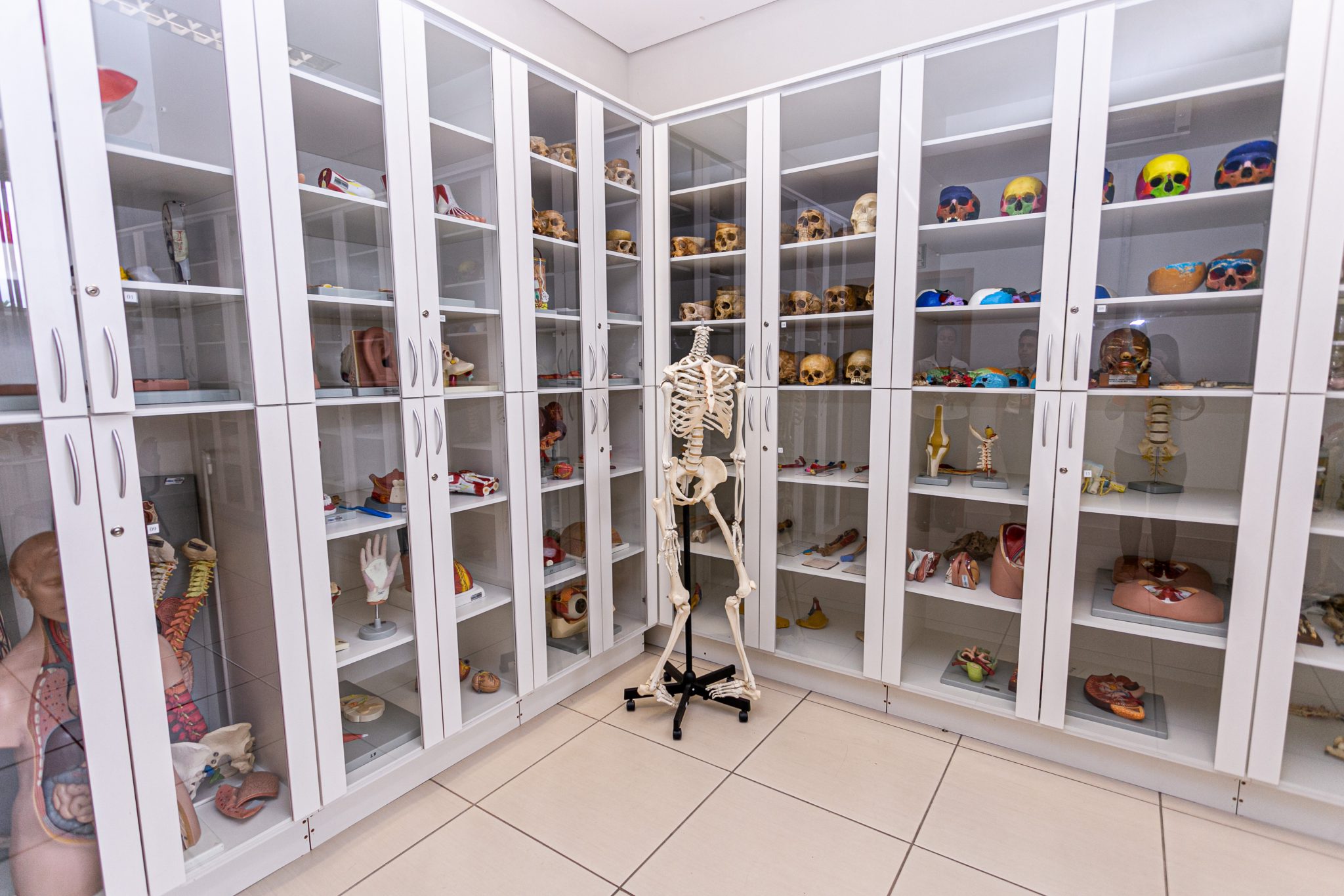 Laboratórios de Anatomia Humana - Uningá