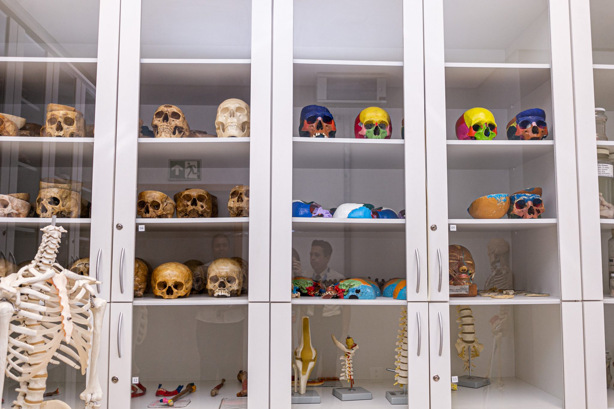 Laboratórios de Anatomia Humana - Uningá