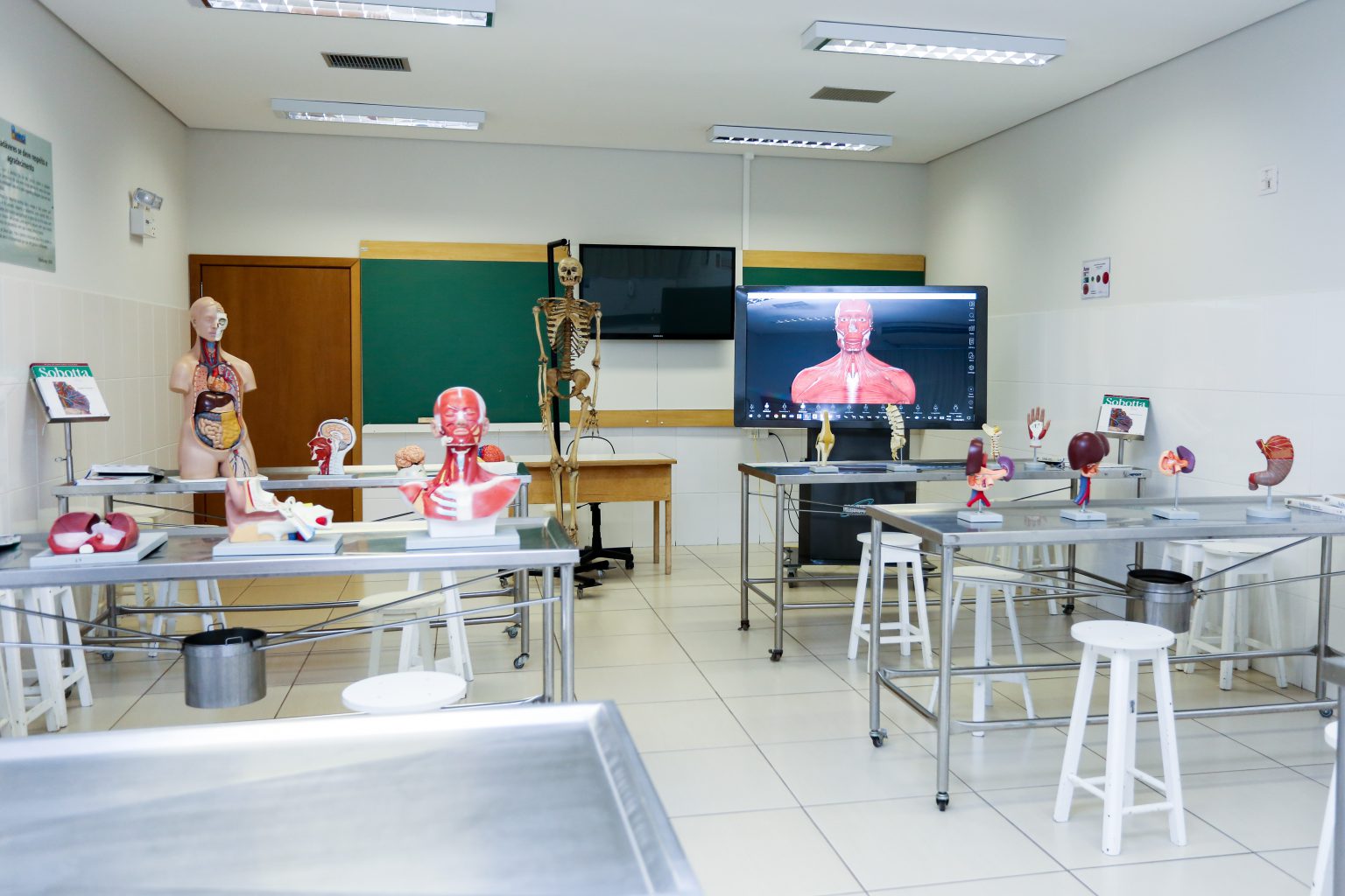 Laboratórios de Anatomia Humana - Uningá